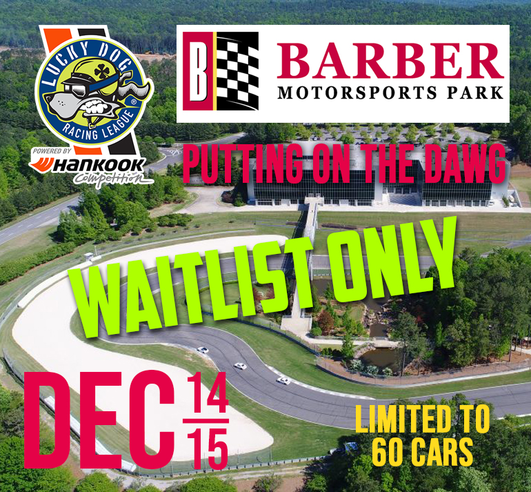 Lucky Dog Racing League | Road Course Endurance Racing…without the Bull.